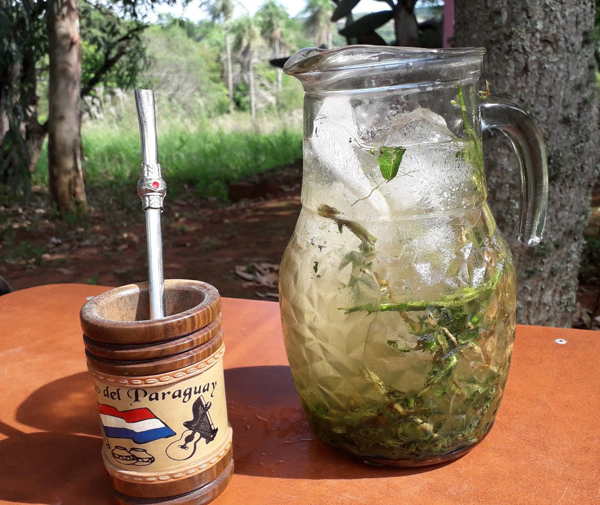 Terere; the cold mate beverage – Arpa Tea